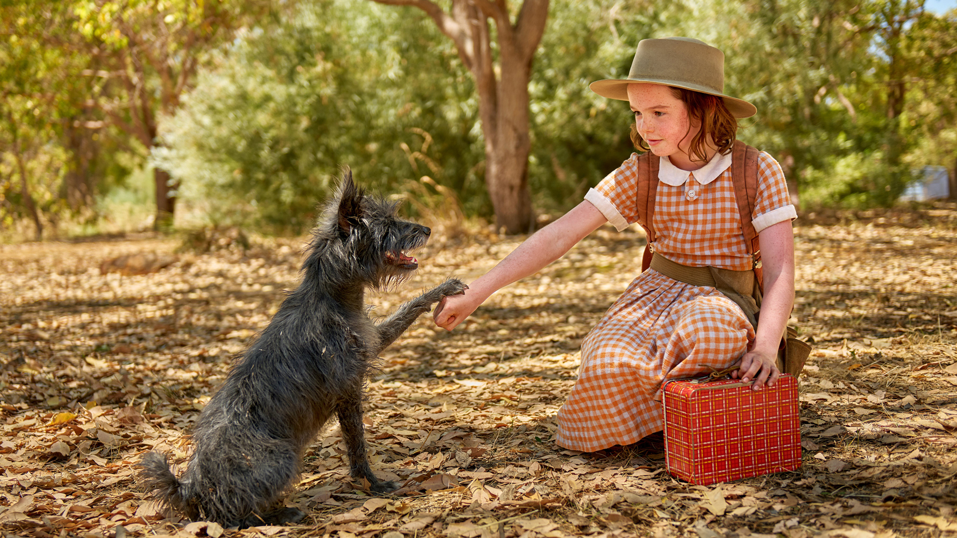 Runt | HOYTS Cinemas